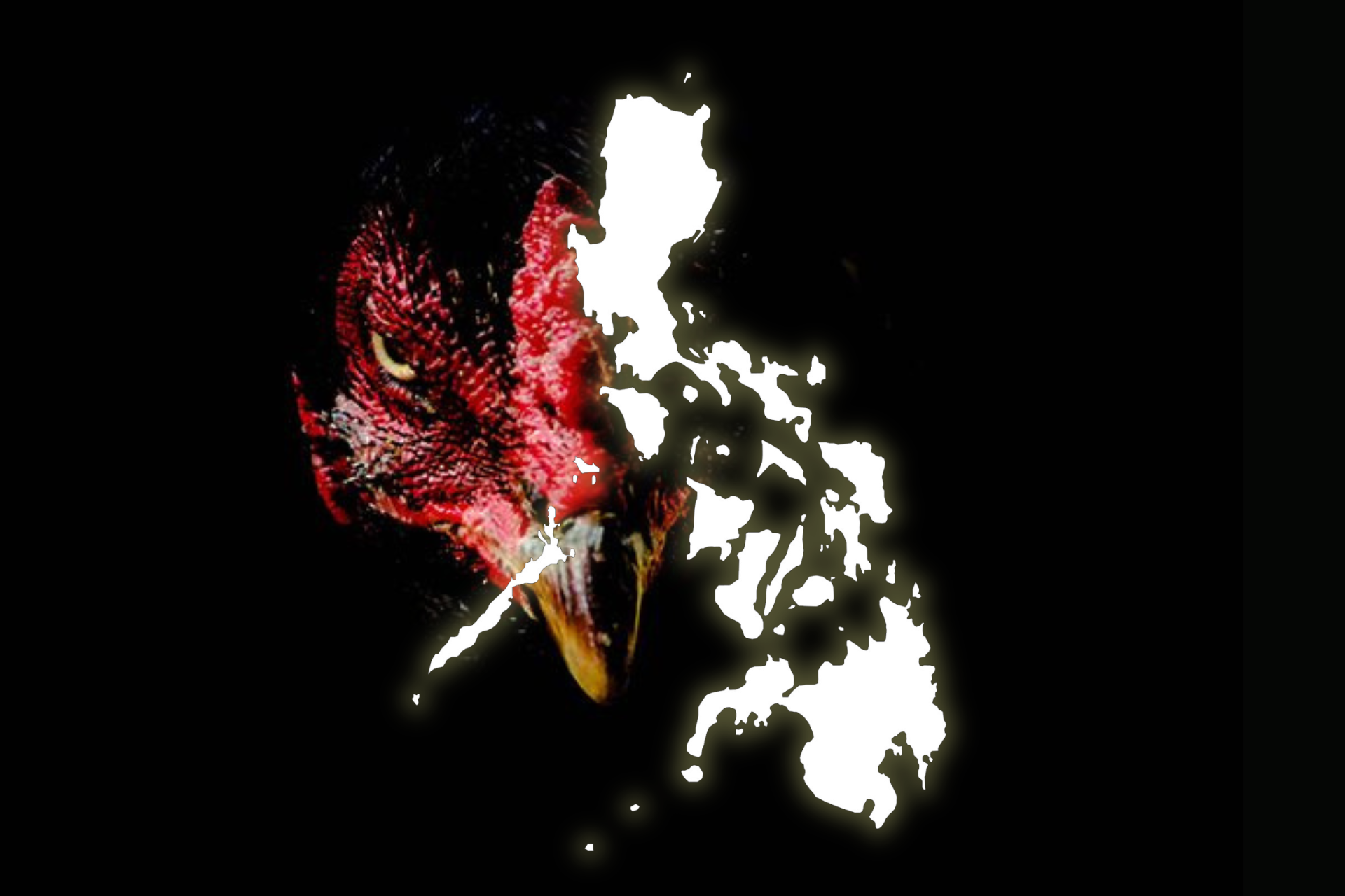 The History and Evolution of Sabong in the Philippines